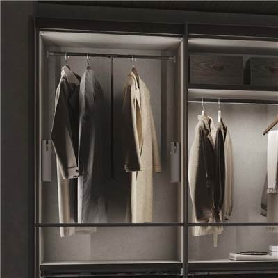 Penderie rabattable armoire Sway 450 - 600mm alu. titane,7139052,EMUCA